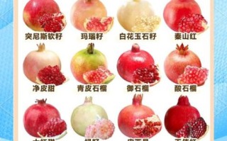 甜石榴的功效与作用_甜石榴怎么吃最养人