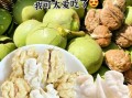 鲜核桃仁怎么做好吃_鲜核桃仁的家常做法