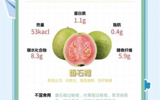 每天吃一个番石榴的危害_番石榴吃多了会怎样