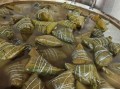 粽子糯米怎么调味好吃_粽子糯米调味比例是多少