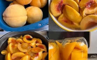 蒸黄桃罐头怎么做_蒸黄桃罐头能保存多久