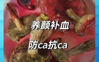 红菇煲汤做法大全_红菇煲汤怎么做好喝