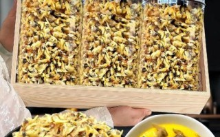 干花蛤肉怎么泡发_干花蛤肉怎么炒好吃