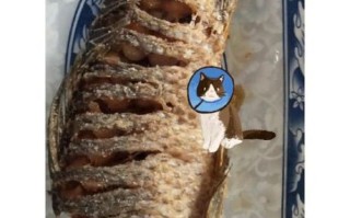 红烧鲤鱼怎么做好吃_家常红烧鱼做法