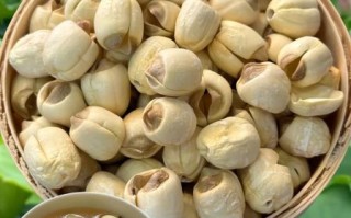 湘莲子是什么_湘莲子功效与作用