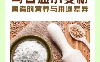 全麦粉是什么_全麦粉和普通面粉区别
