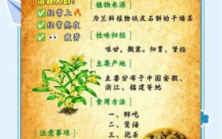 铁皮石斛有什么作用_铁皮石斛适合什么人吃