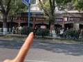 白腐乳是臭豆腐吗_两者区别在哪