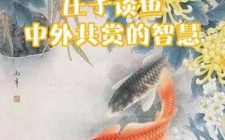 子非鱼是什么意思_庄子与惠子辩论寓意