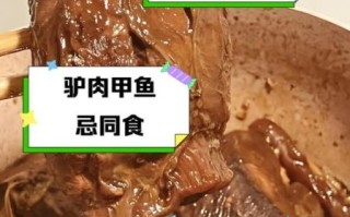 驴肉不能和什么蔬菜一起吃_驴肉相克蔬菜有哪些