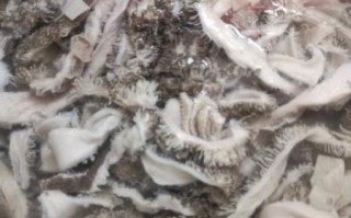 生羊肚怎么煮才脆_煮生羊肚的正确方法毛