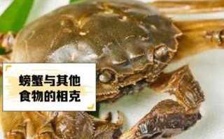 吃完螃蟹千万别碰的水果_哪些水果与螃蟹相克