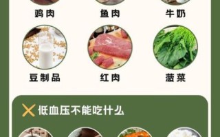 低血压女性吃什么补品_低血压女性如何食补