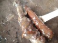 狗肉炖萝卜怎么做_狗肉炖萝卜的家常做法