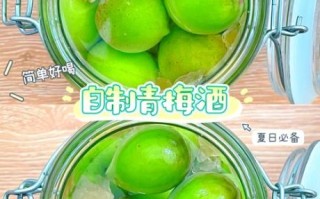 青梅酒的做法与配方_青梅酒泡多久可以喝