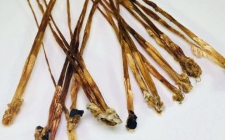 蛇鞭的功效与作用_蛇鞭怎么吃效果最好