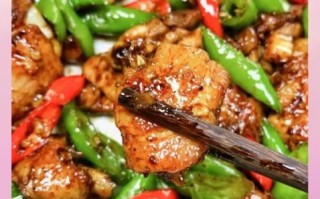 川菜鸡肉做法大全_家常川味鸡怎么做