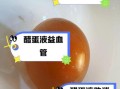 醋蛋液的功效与作用_醋蛋液的正确吃法