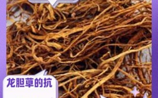 龙胆草的功效与作用_龙胆草怎么泡水喝