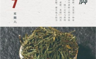螃蟹脚茶怎么泡_螃蟹脚茶的功效与作用