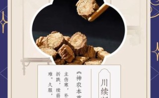 川断功效作用与主治_川断补肾壮阳效果好吗