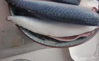 茄汁青鱼怎么做_茄汁青鱼罐头做法