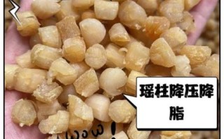 瑶柱的功效与禁忌_哪些人不能吃瑶柱