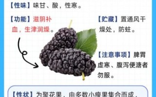 桑果的功效与作用_桑果怎么吃效果最好