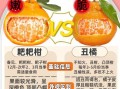 丑橘和粑粑柑的区别_丑橘怎么挑选才甜
