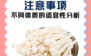 白玉菇的营养价值_白玉菇怎么吃最健康