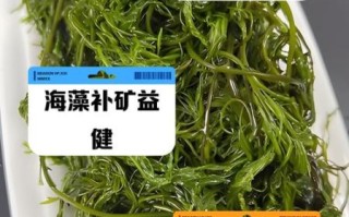 海藻的功效与作用禁忌_哪些人不能吃海藻