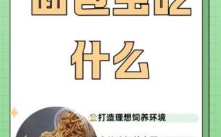 面包虫怎么养_面包虫吃什么长得快