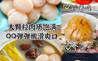 贝柱的家常做法_冷冻贝柱怎么做好吃