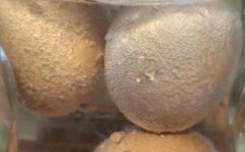 醋泡鸡蛋的正确做法_醋泡鸡蛋真的能降血压吗