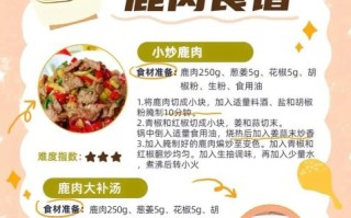 鹿肉怎么做好吃_鹿肉的做法大全