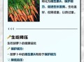胡萝卜的功效与作用及禁忌_吃胡萝卜的注意事项