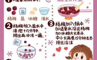杨梅汤怎么做_杨梅汤的做法大全窍门
