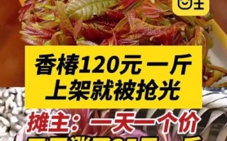 香椿芽多少钱一斤_香椿芽价格走势