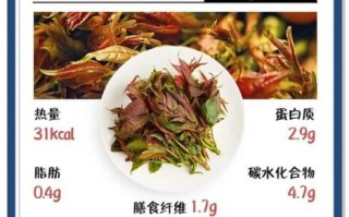 香椿的营养价值_香椿的食用禁忌