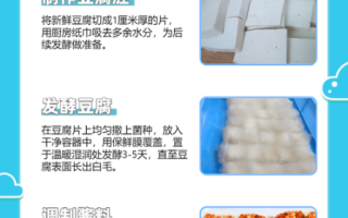 原味豆腐乳怎么做_家庭自制豆腐乳步骤