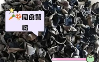 海木耳不能和什么一起吃_海木耳相克食物有哪些