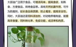 大蒜油适合什么人吃_大蒜油的功效与禁忌