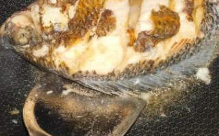 做鱼怎么不粘锅_煎鱼不破皮技巧 做鱼怎么不粘锅_煎鱼不破皮技巧