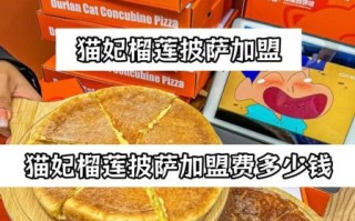 山东披萨加盟有哪些牌子_山东披萨加盟费多少钱
