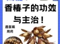 香椿果实的功效与作用_怎么吃效果最好