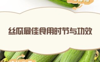 丝瓜能缓解风湿疼痛吗_丝瓜对风湿关节炎有用吗