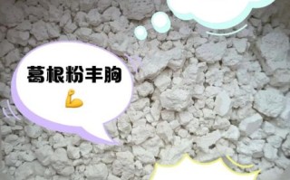 葛根粉一天吃几次丰胸_葛根粉丰胸多久见效