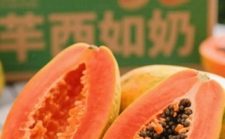 牛奶木瓜能丰胸吗_木瓜丰胸是真的吗