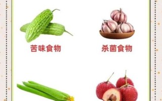 三伏吃什么传统食物_三伏天必吃哪些消暑美食