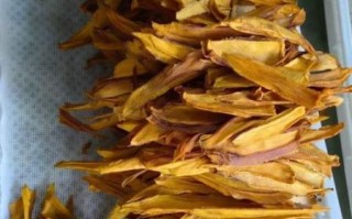 吃不完的芒果怎么加工_芒果干做法
